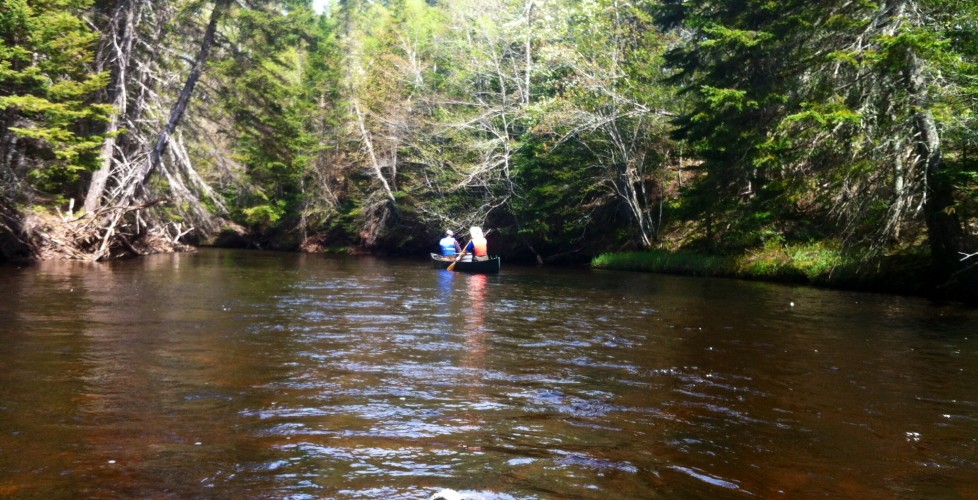 Morell River Management Cooperative