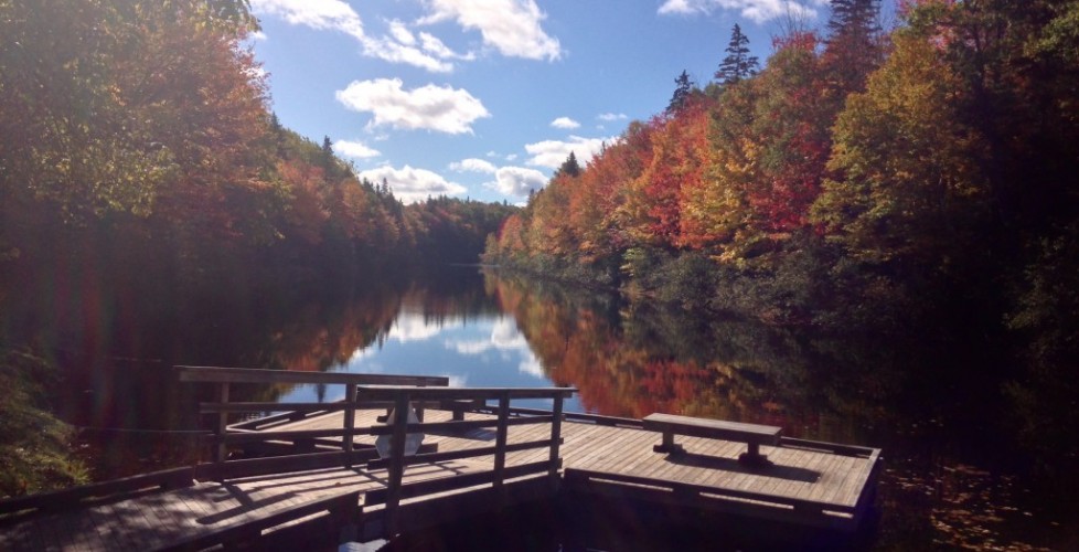 Morell River Management Cooperative